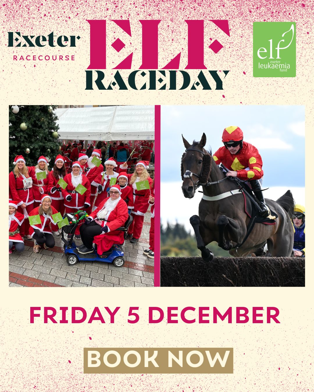 ELF Raceday 5th December 2025 | Exeter Leukaemia Fund